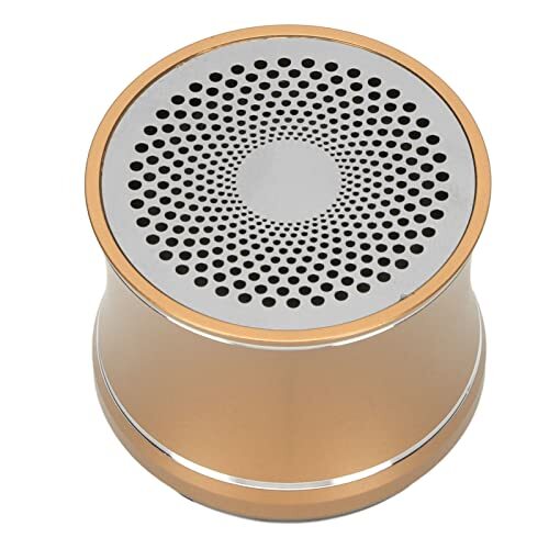 Laihua Mini Luidspreker Handsfree IP67 Waterdichte Kleine Luidspreker ...