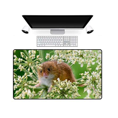 DHSBD Gaming Muismat Grote Xl Computer Muismat Xl Rubberen Bureaumat ...