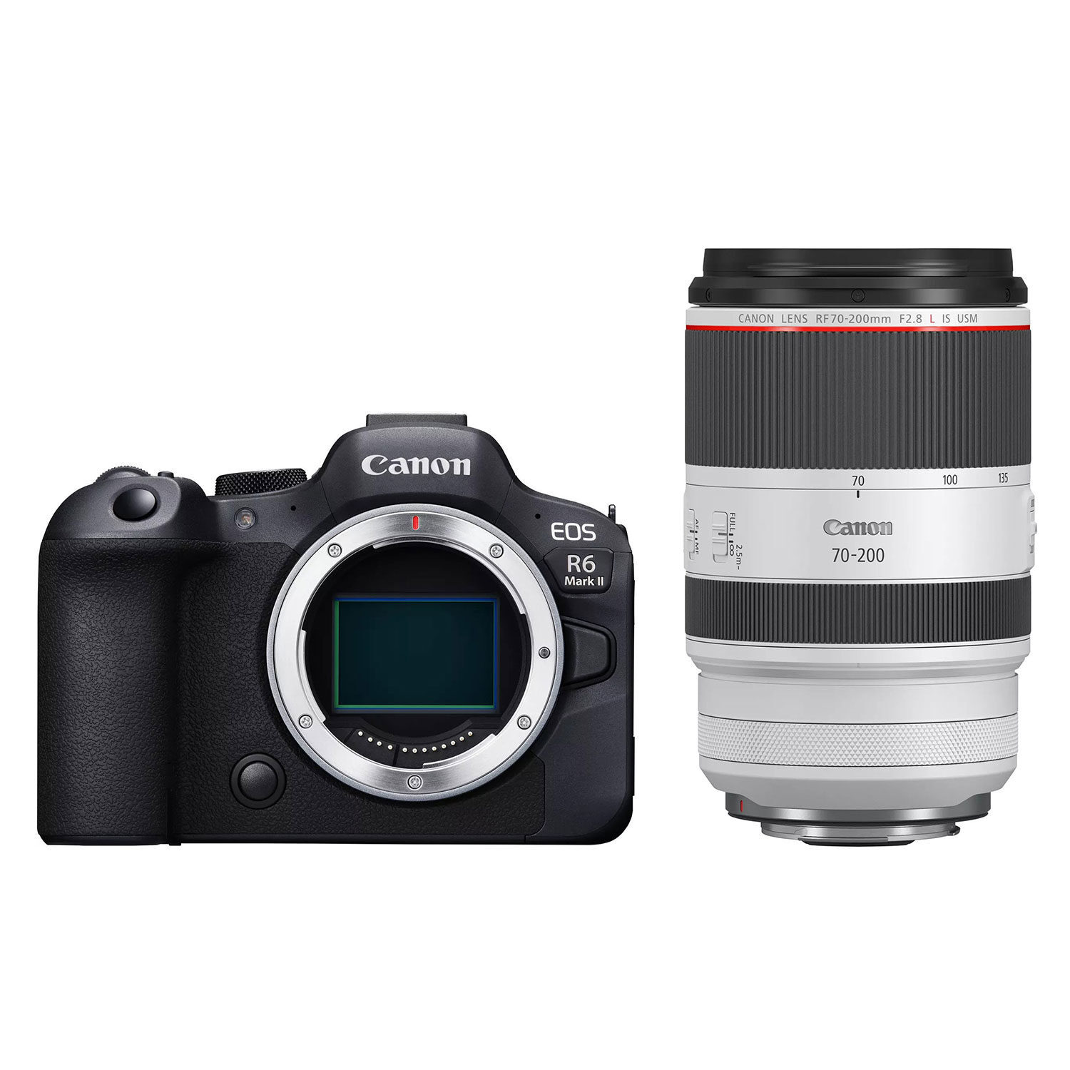Canon EOS R6 Mark II systeemcamera + RF 70-200mm f/2.8L IS USM | OVERIG ...