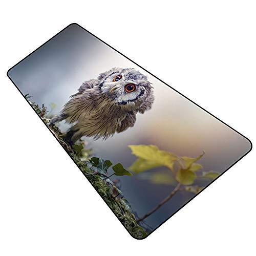 DHSBD Bird Print Leuke Muismat Genaaide Randen Groot Pad Antislip ...