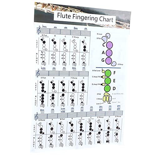 Shanrya Fluit akkoordentabel, gecoat papier Redelijk ontwerp Fluit ...